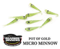 Micro Minnow – Roadside Minnows